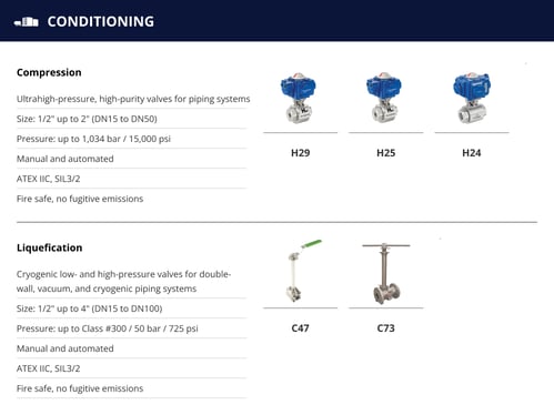 Trusted Valves for Every Process in The Hydrogen Supply Chain
